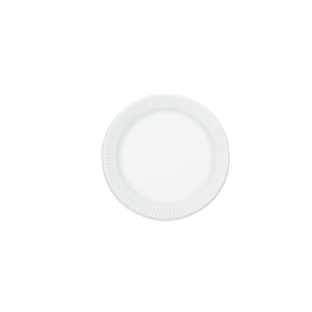 PAPER PLATE SNACK 150MM 250 PIECE – Total Foods